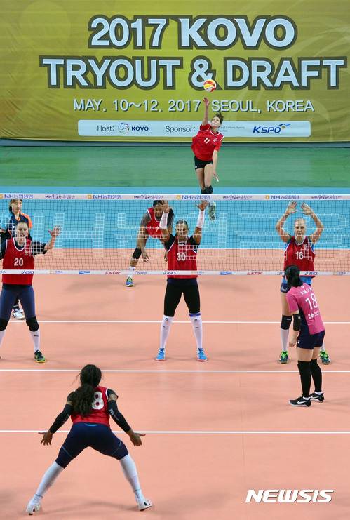 여자배구 트라이아웃 시작