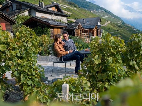세계축제로 즐기는 가을풍미②스위스 포도산지 따라 와인축제