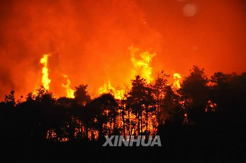 (2)CHINA-LIUPANSHUI-FOREST FIRE(CN)