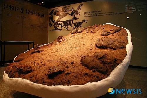 '공룡알 둥지 효과' 목포자연사박물관 관람객 증가