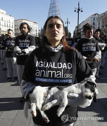 SPAIN ANIMAL RIGHTS PROTESTS