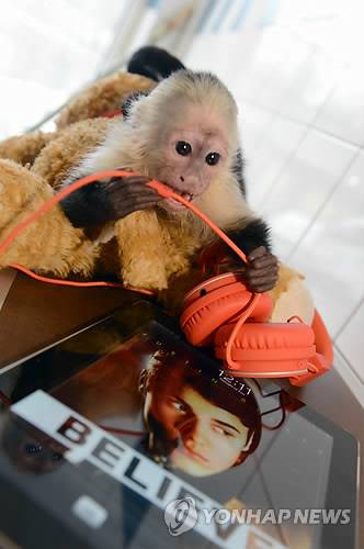 GERMANY JUSTIN BIEBER MONKEY