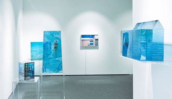 에버그린, 에버블루 Evergreen Everblue 전시회