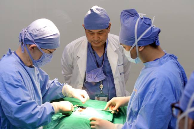 Hwang Woo-suk in fresh controversy over mammoth cloning