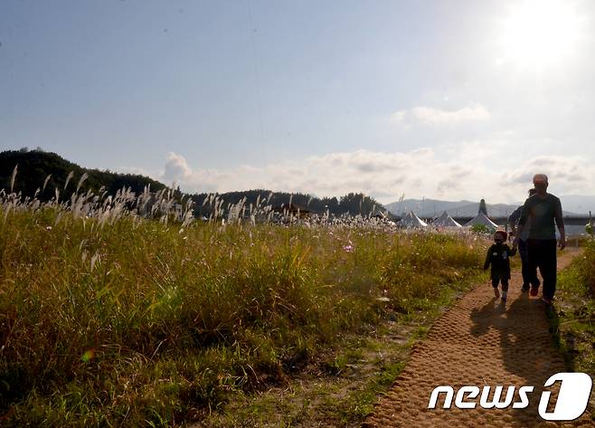 억새풀과 함께 즐기는 연어축제