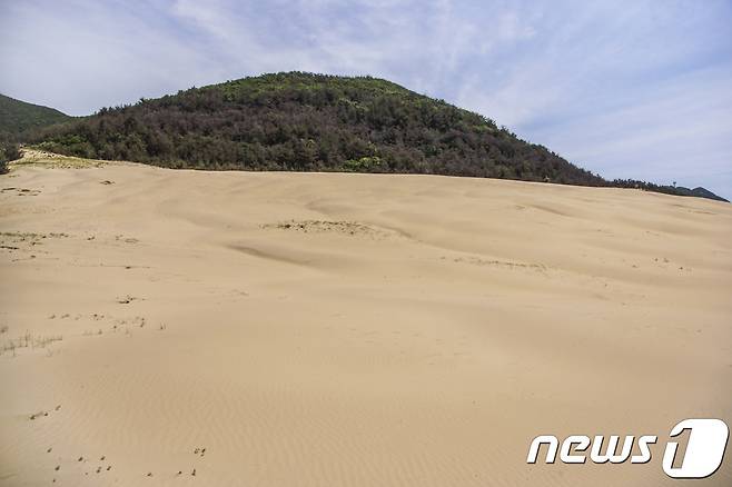 백령·대청 지질공원으로 출사갈 사람 모여라