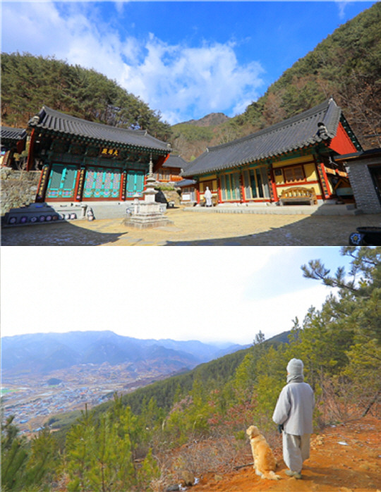 한국기행 경남 산청 문수암 기영스님과 강아지 보리의 겨울나기