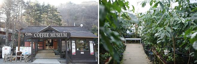 올림픽만큼 재밌는 박물관·미술관 나들이 강원 강릉·평창