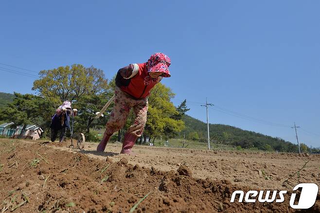 쟁기질 하는 농민들