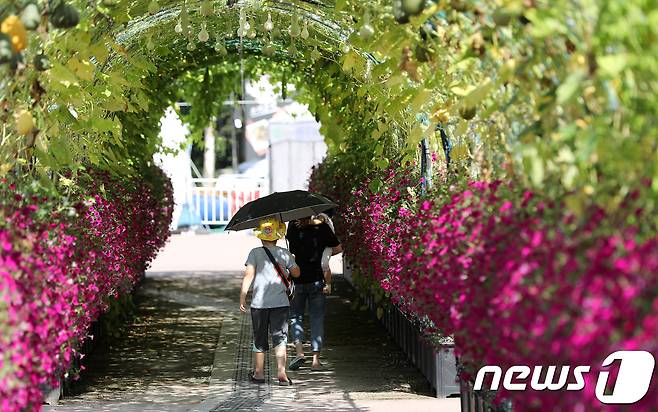 무더운 여름 그늘 진 꽃터널 지나기