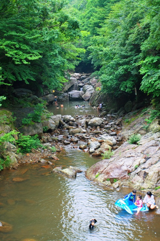 떠나요 강심장 반달곰·반딧불이 반가운 산골여행