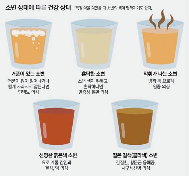 Health 신장 건강의 척도 소변색깔로 내몸 살펴요