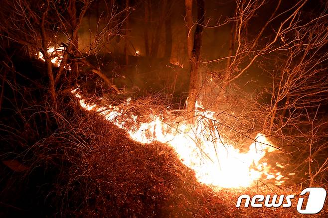 양양 산불건조한 날씨에 무서운 기세