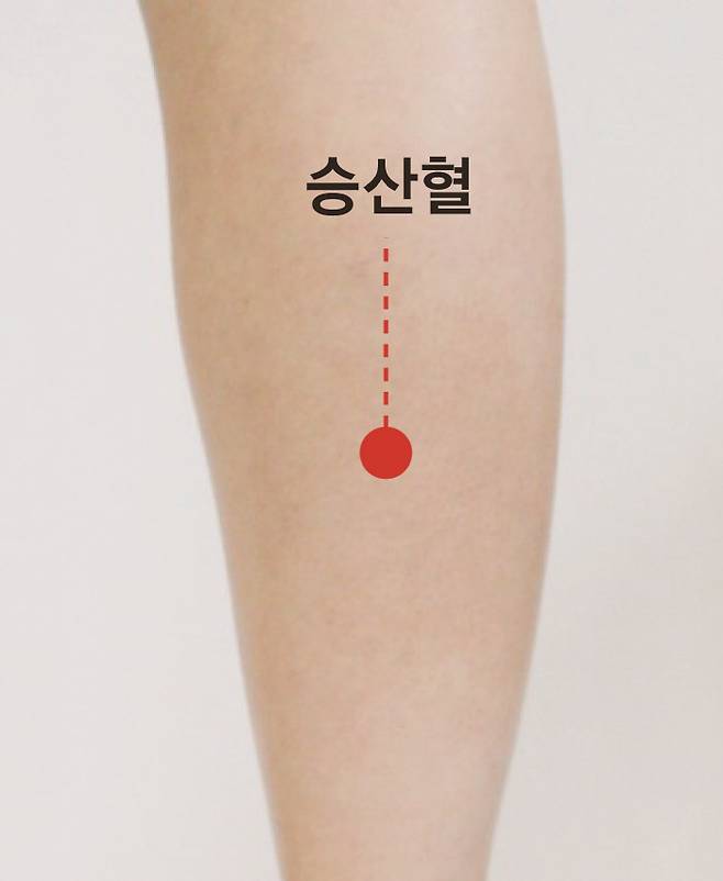 승산혈 종아리 심한 근육 통증·경련 있을 때 도움 송미연의 촌철지압