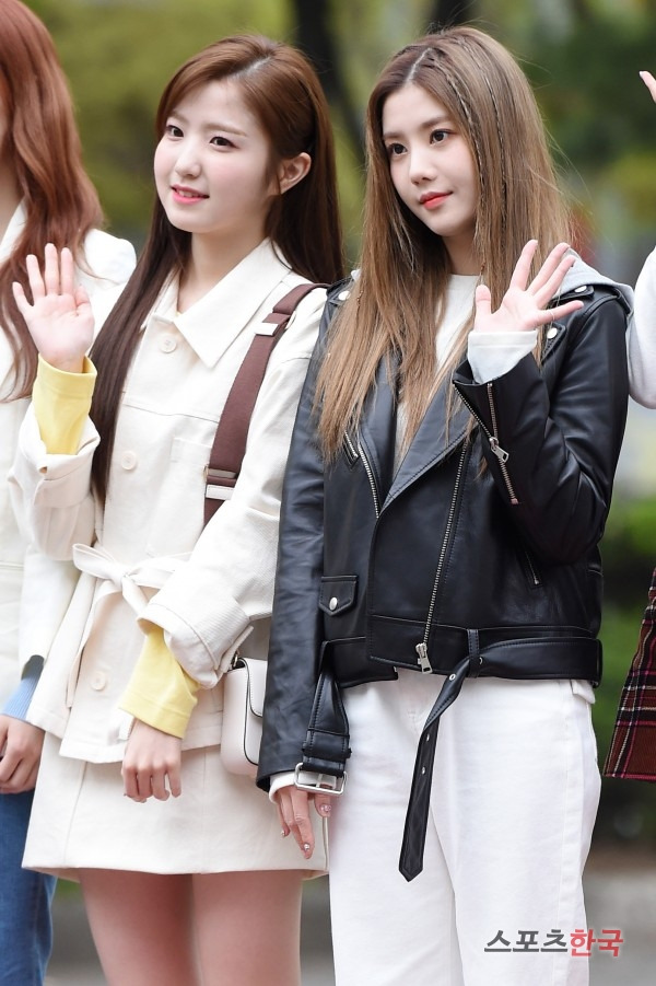 아이즈원 혼다 히토미·권은비 강아지와 고양이 뮤직뱅크 출근길