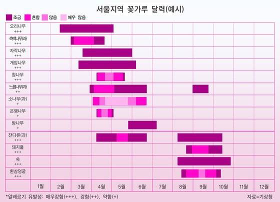 오늘 꽃가루 많이 날릴까 기상청에 물어보세요