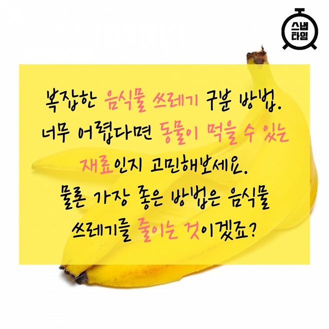 카드뉴스 바나나 껍질은 음식물 쓰레기 일반 쓰레기