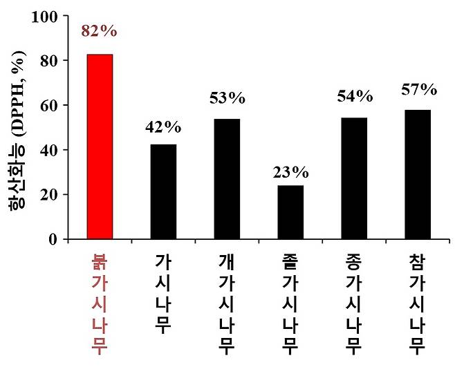 도토리묵 항산화능 풍부한 붉가시나무 종실로