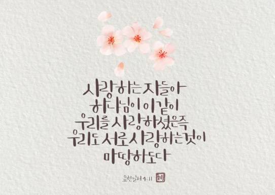 캘리 사랑하는 자들아