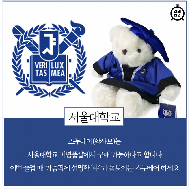 카드뉴스 대학별 졸업인형 그것이 알고 싶다