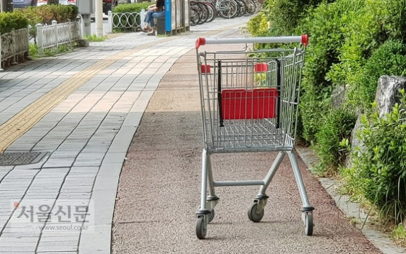 한 컷 세상 카트에 방치된 양심