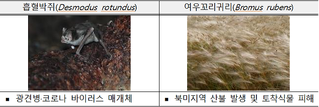 위해 우려 외래생물 100종 유입주의 생물로 새로 지정