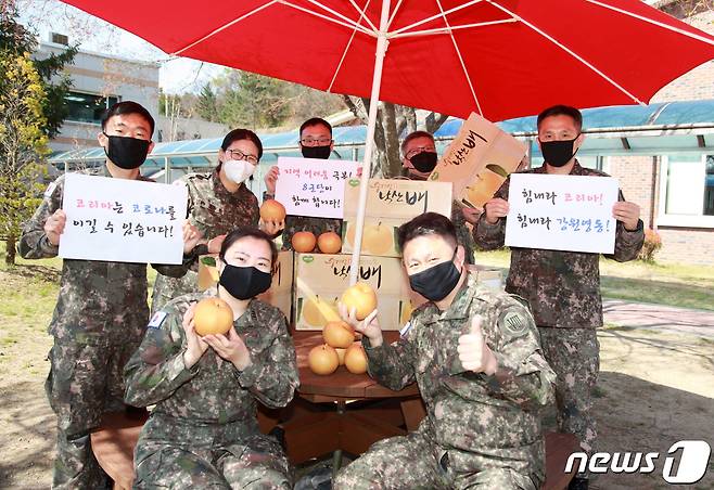 충용8군단 지역 농가 돕기 운동 낙산배 팔아주기 성과