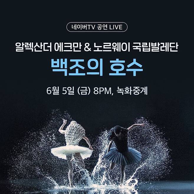 취재파일 방콕에 지친 당신을 위해38톰 히들스턴 연극 복귀작 And 러버덕이 백조의 호수에