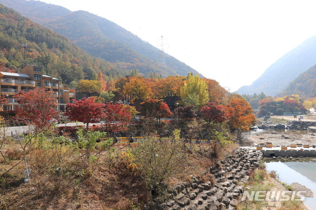 뉴시스 앵글 옥천 장령산자연휴양림 단풍 물들어
