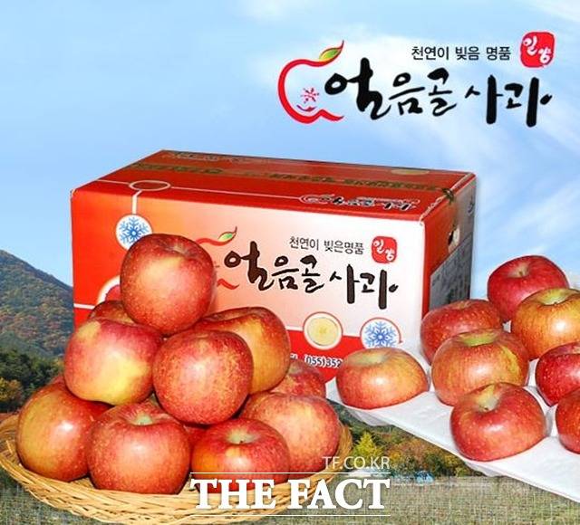 밀양 얼음골사과 축제 취소택배비 없이 온라인 판매·