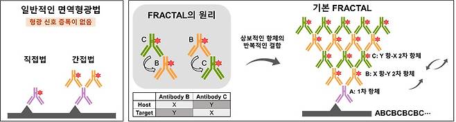 Kaist 신약개발·암 진단에 필요한 새 형광증폭 기술 개발