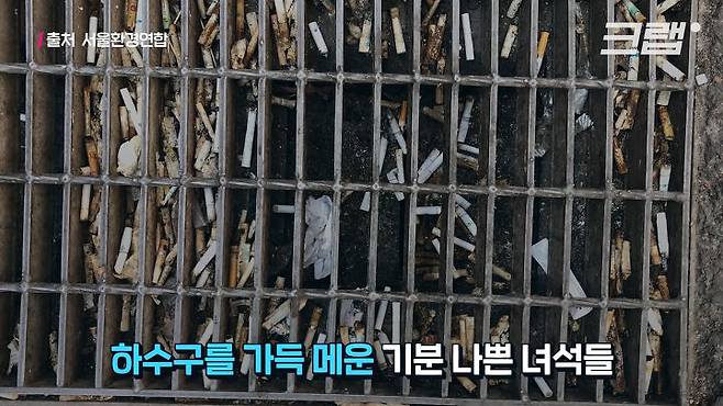담배 속 플라스틱이 우리 식탁에 오르는 과정 크랩 Klab