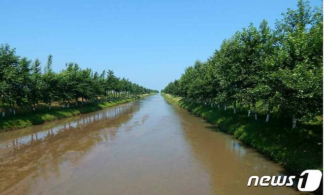 북한 증산군 빨리 자라는 포플러나무로 유명해진 고장