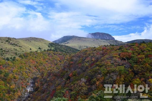 한라산국립공원에서 힐링 하세요