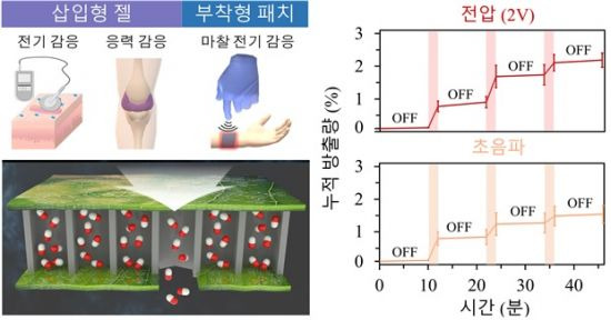 주사보다 편리 먹는 약보다 빨라스마트 약물전달시스템 개발