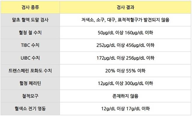 내가 앓고 있는 빈혈의 진단명은 철 결합능검사uibctibc 알고 받는 건강검진