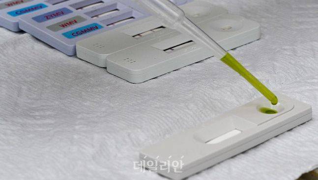 新농사직썰㉞ 코로나 키트와 똑같네14년 전에 나온 작물 바이러스 진단키트