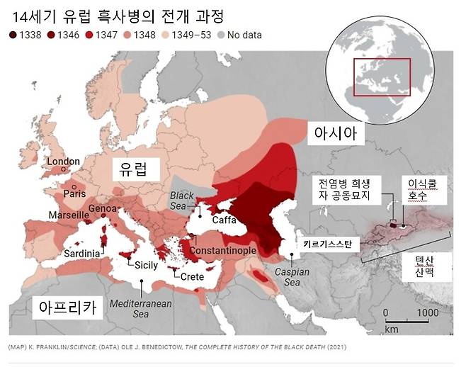 유럽 초토화 흑사병 창궐 미스터리 700년 만에 풀렸다