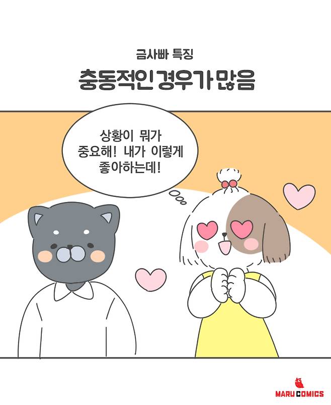 금사빠 특징 마루코믹스