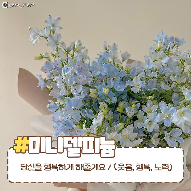 사랑하는 사람에게 선물하기 좋은 꽃말 좋은 꽃다발 모음집 💐 남녀생활백서