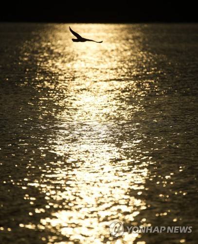 APTOPIX Colorado Daily Life