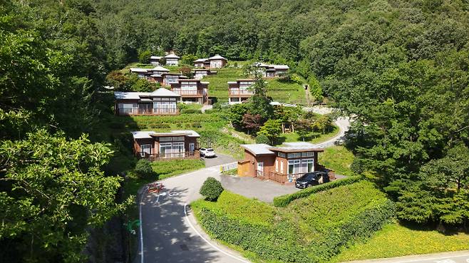 보성 제암산 휴양림 예년 수준 회복