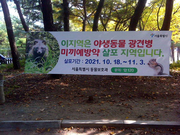산책하다 발견해도 절대 만지지 마세요사각덩어리의 정체