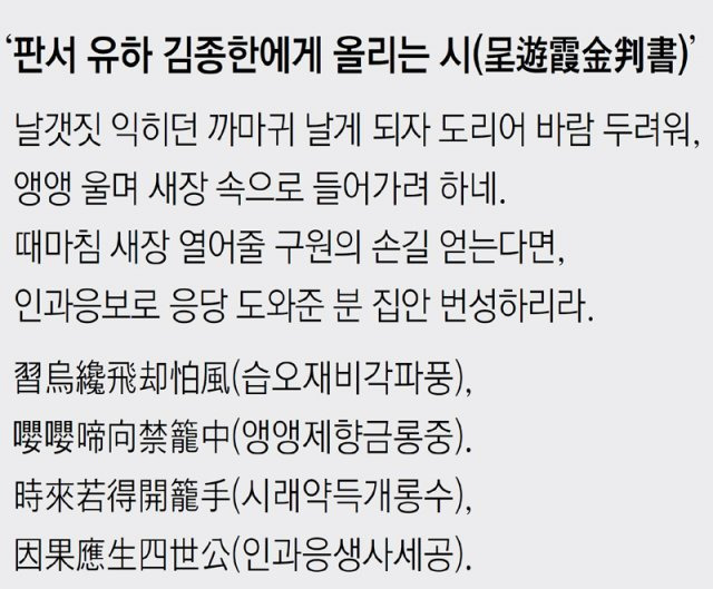 하늘도 무너진다 그땐 하늘 위로 날아보자