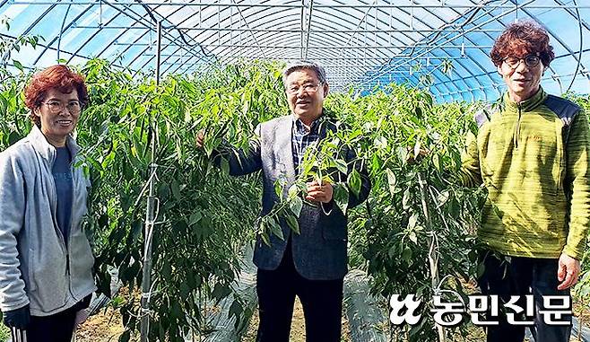 하우스 시공연계사업 우수한 자재로 저렴하게 지어 만족