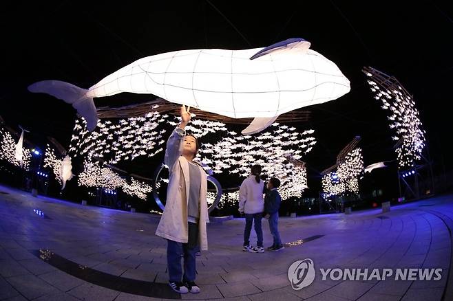 의령에서 만나는 대형 고래 조명