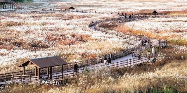천천히 걸어야 보인다 대구의 어제와 오늘을 머금은 ‘길