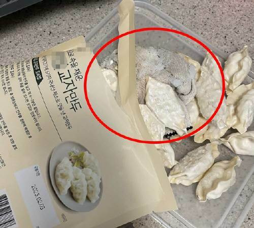 더쿠 초록마을 냉동만두서 목장갑이 제품 무기한 판매중단”