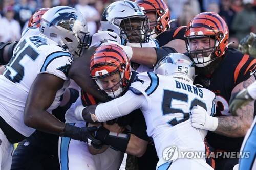 Panthers Bengals Football