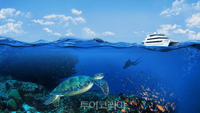 포시즌스 리조트 몰디브 윈터 원더 크루즈 운행완벽한 몰디브 바다여행 만끽
